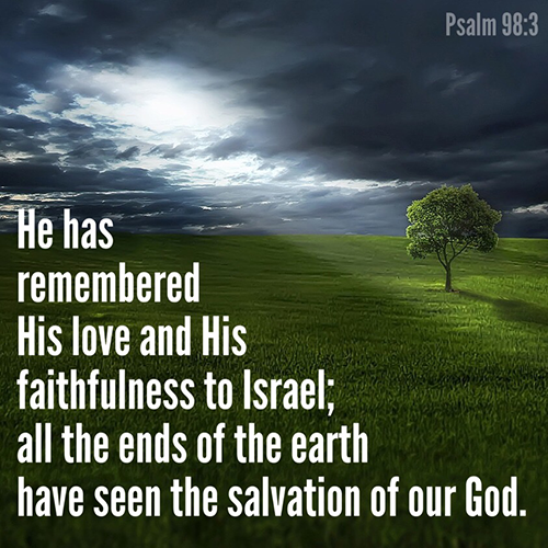 365 Day Bible