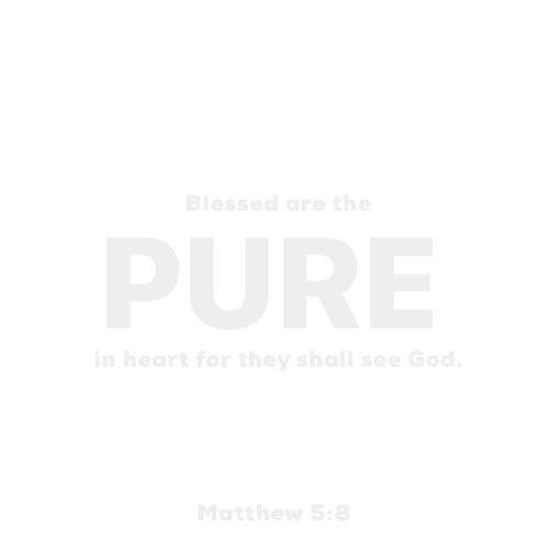 Matthew 5 - 365 Day Bible